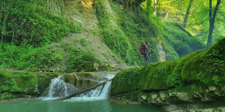 Parsa National Park: Wildlife and Conservation Journey